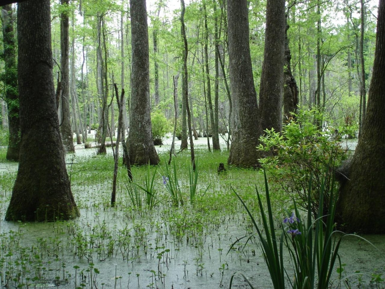 Sacred Sites | Springbank Retreat